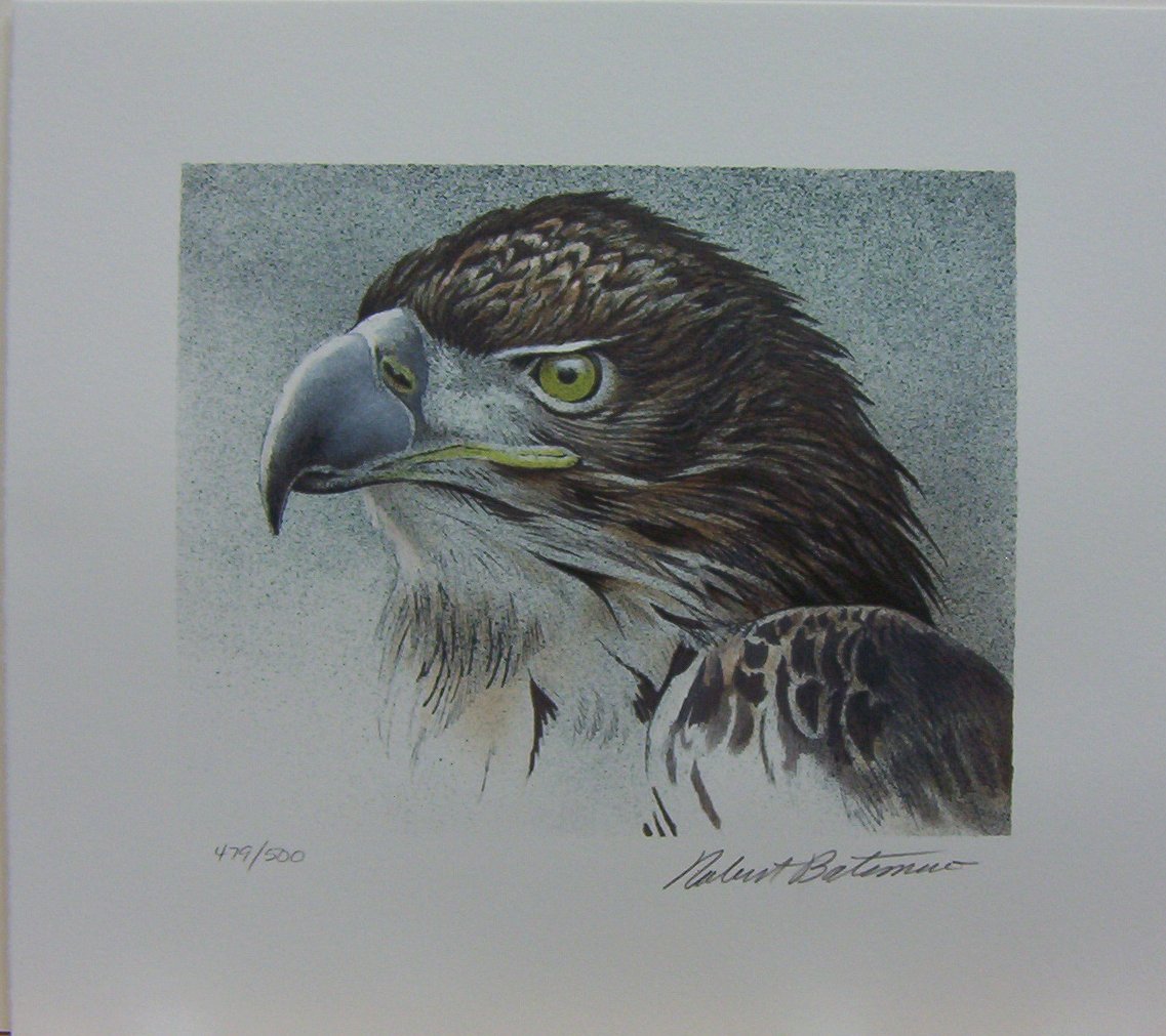Art Country Canada - ROBERT BATEMAN Vigilance Bald Eagle Offset limited ...