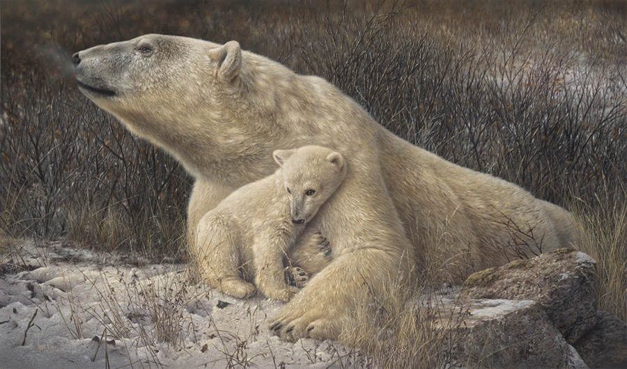 Art Country Canada - DENIS MAYER Time to Protect POLAR BEAR & CubGiclee ...